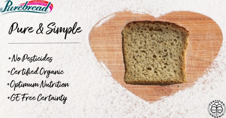 How Purebread Products Can Help – Purebread